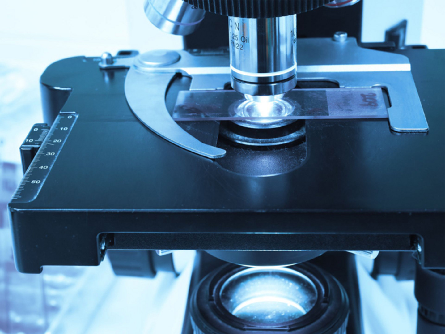 LXC cameras | Baumer USA