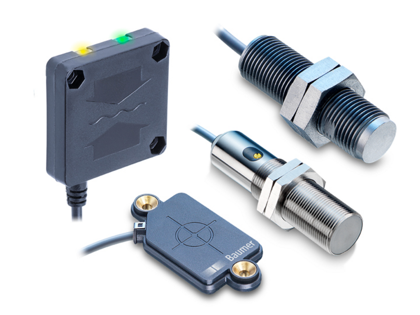 Capacitive level sensors | Baumer international