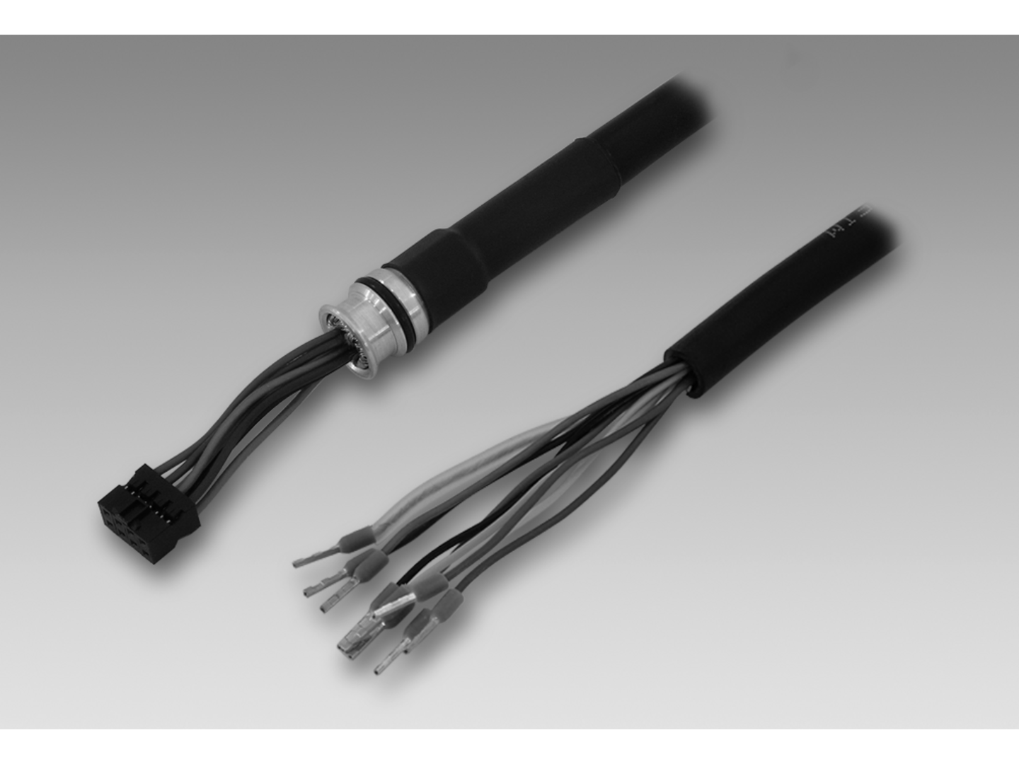 Connection cable with FCI, 8-pin / wire end sleeves (UL/CSA), 10 m ...